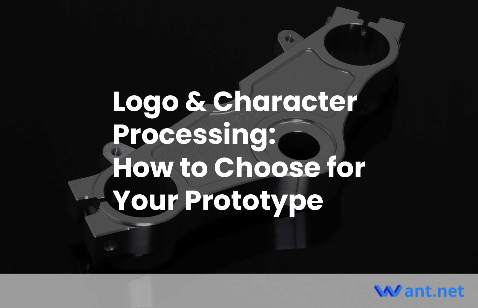 Logo & Character Processing: How to Choose for Your Prototype » Want.net